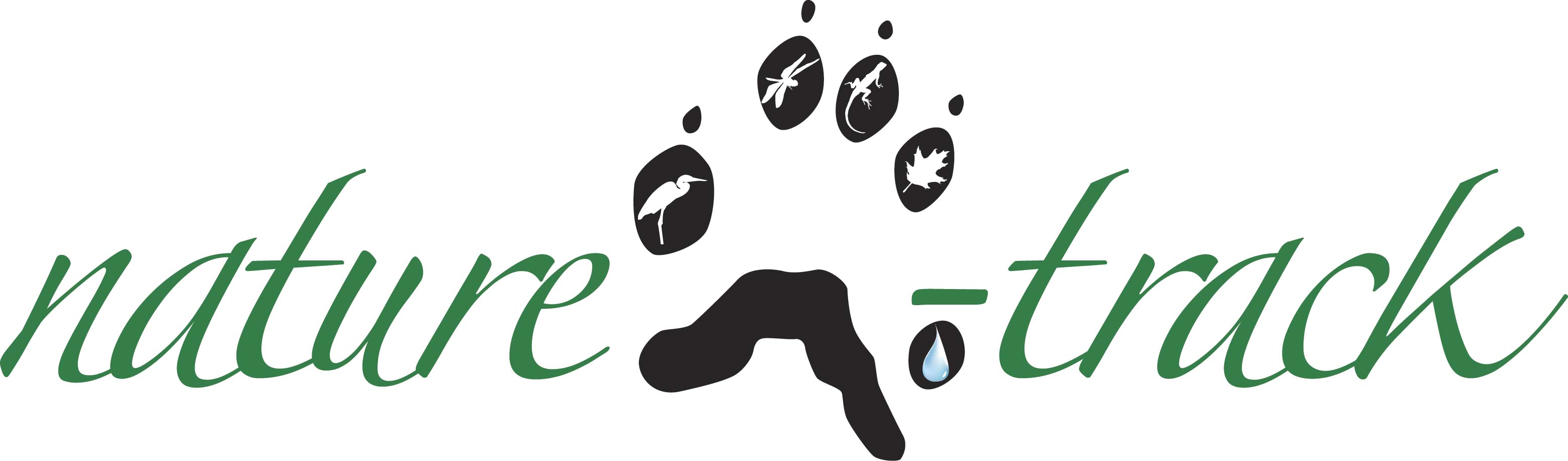 Bringing Nature to Your Fingertips