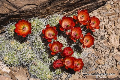 Grand Staircase-Escalante National Monument 2017